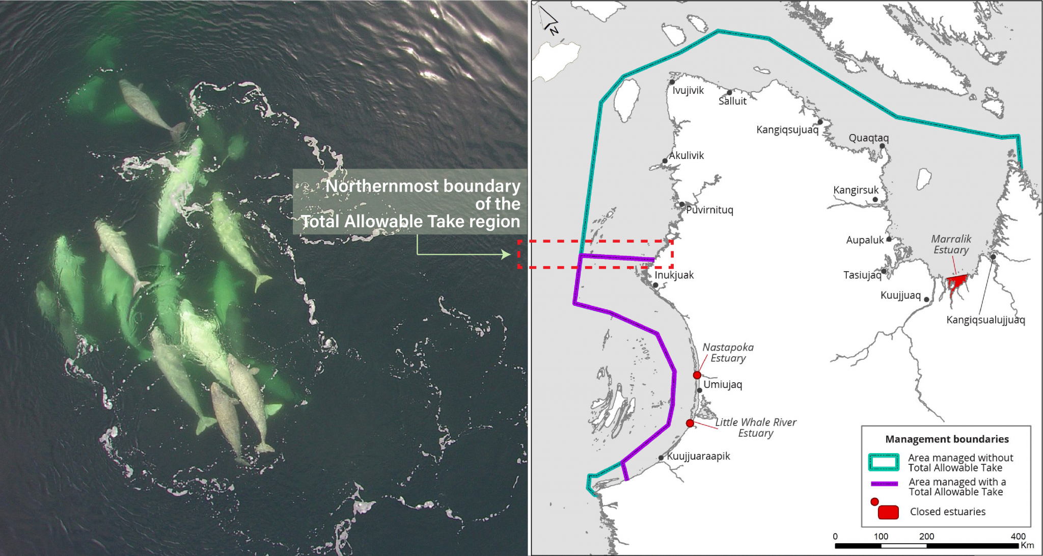 Beluga – Northern Boundary of East Hudson Bay TAT region – Hearing – NMRWB